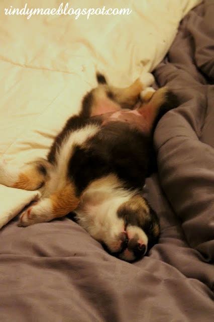 Rindy Mae Meet Libby Lou