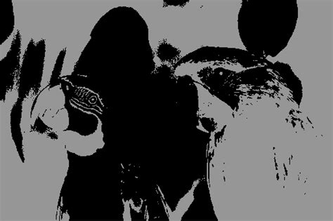 OpenCV ImgProc MiscImgTransform
