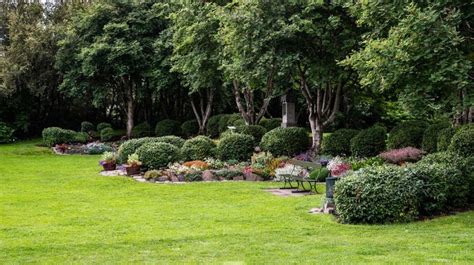 Late Winter Shrub Care Floralawn