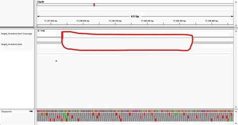 Mapping Inversion Problem · Issue 821 · Lh3minimap2 · Github