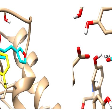Binding Mode And Ligand Receptor Interactions Of The Co Crystallized