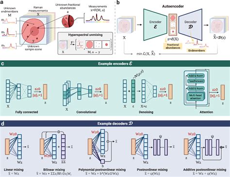 Hyperspectral Unmixing For Raman Spectroscopy Via Physics Constrained