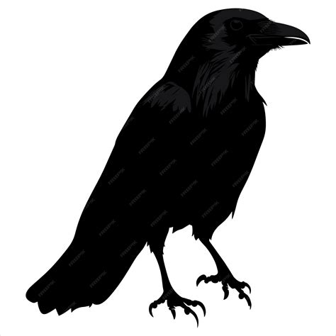 A Black Silhouette Raven On A White Background Premium Ai Generated