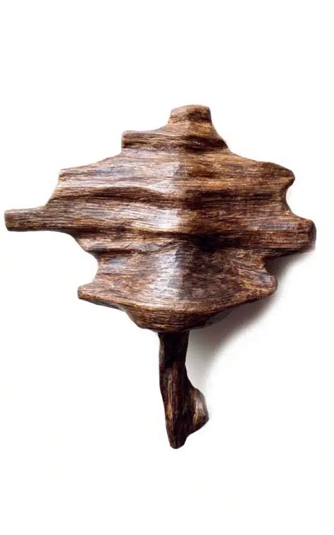 Misconceptions Of Oud The Most Magical Ingredient In Perfume