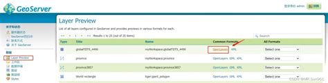 Geoserver发布wmts影像服务geoserver 发布 Wmts Csdn博客