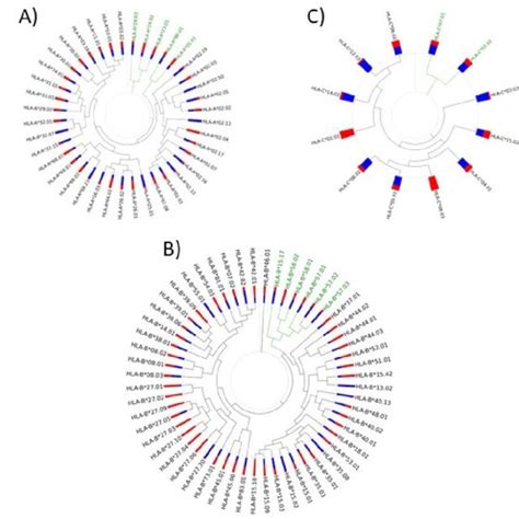 Clustered Data Overview Hierarchical Clustering Of The Pseudosequence S Download Scientific