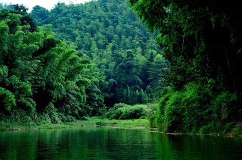 宜宾竹海图片大全 蜀南竹海 风景名胜区 第5页 大山谷图库