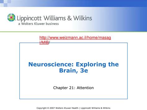 ppt neuroscience exploring the brain 3e powerpoint presentation