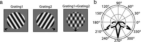Component And Pattern Selectivity A Examples Of Stimuli Used In Our