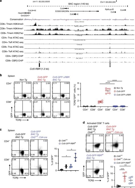 Runx Mediated Regulation Of Ccl5 Via Antagonizing Two Enhancers Influences Immune Cell Function