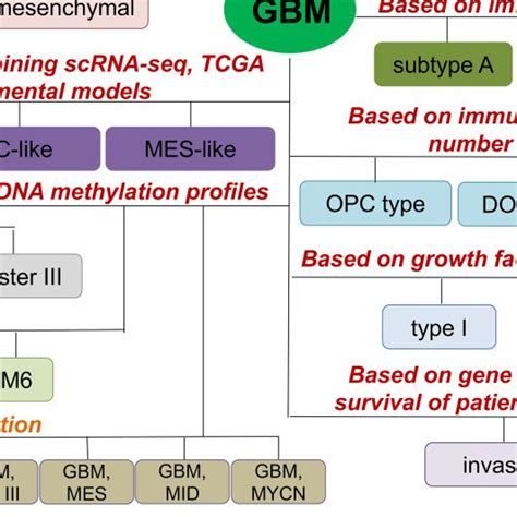 Stratification Of Gbm Into Subtypes This Summary Is Based On The