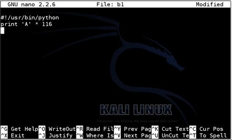 Proj 3 Linux Buffer Overflow With Shellcode 20 Pts