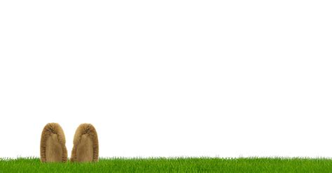 긴 부활절 토끼 귀 녹색 잔디 3d 렌더링에 숨겨진 컷아웃에 대한 스톡 사진 및 기타 이미지 컷아웃 토끼 귀 의상 3차원 형태 Istock