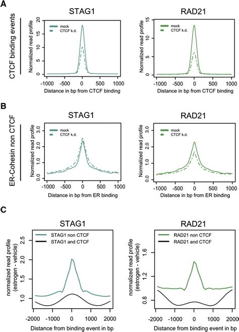 Cohesin Binding Can Be Independent Of Ctcf A Cohesin Stag1 And Download Scientific Diagram