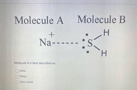 Solved Molecule A Molecule B Chegg Com