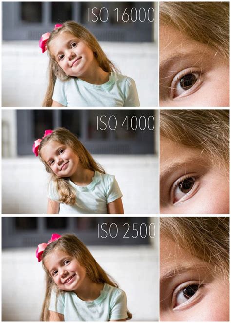 What Is Digital Camera Noise And How To Correct It Photography Basics