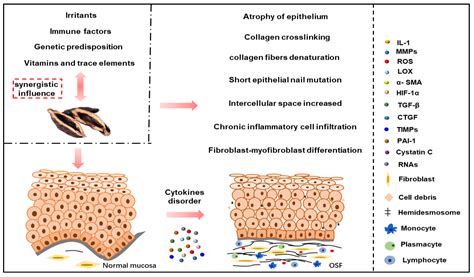 Oral Submucous Fibrosis