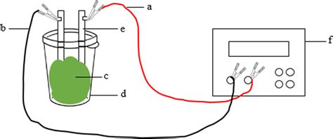 Experimental Set Up For Electrochemical Pre Treatment A Anode Wiring