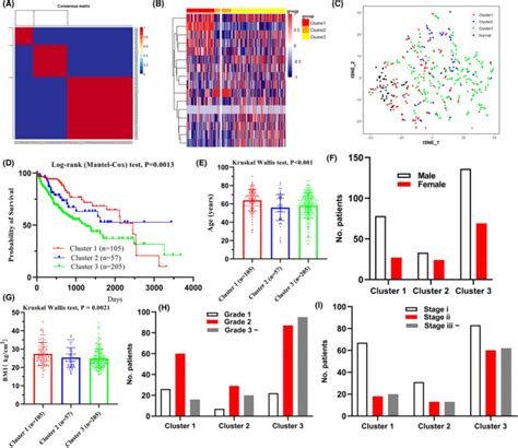 Protein Succinylation Associated With The Progress Of Hepatocellular Carcinoma Pmc