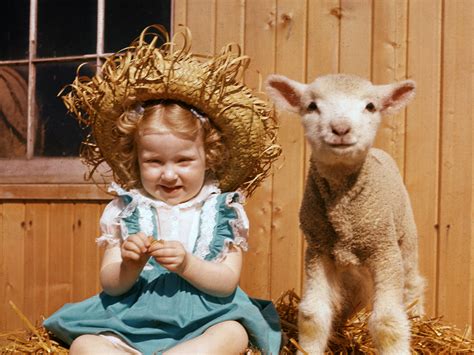 The True Story Behind Mary Had A Little Lamb