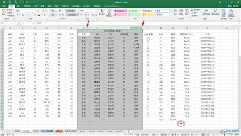 excel怎么一次插入多列 excel表格中一次性插入多列空白列的方法教程 极光下载站