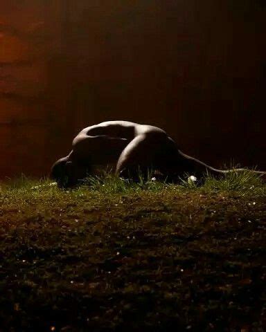 Golden Era X The Wheel Of Fortune