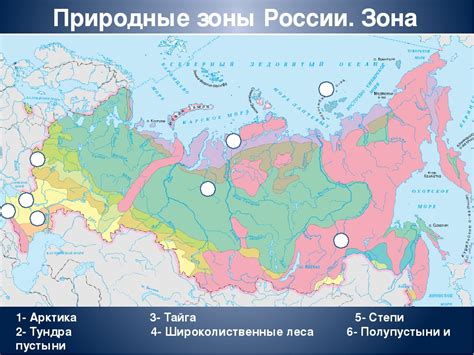 Природные зоны России 4 класс
