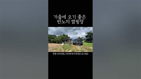 양평 리버앤힐 애견동반캠핑 캠핑가을캠핑반려견동반캠핑 Youtube