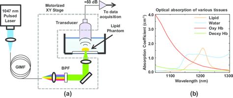 A Schematic Of The Multi Wavelength Pulsed Laser Based On A