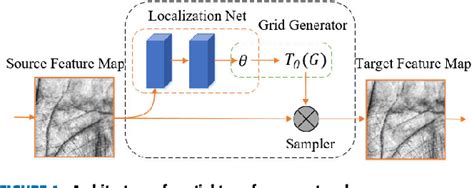 Figure 1 From Palmprint Palmvein Fusion Recognition Based On Deep Hashing Network Semantic Scholar