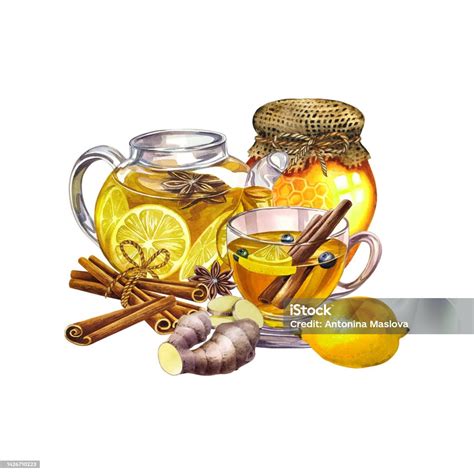 레몬 계피 생강과 꿀을 곁들인 향기로운 항 바이러스 차 유리 주전자와 감기에 대한 비타민 차와 컵 계피에 대한 스톡 벡터 아트 및 기타 이미지 Istock