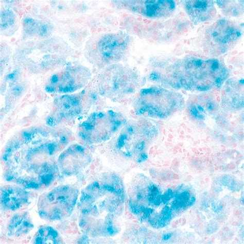 赛维尔生物服务产品servicebio武汉赛维尔生物科技有限公司