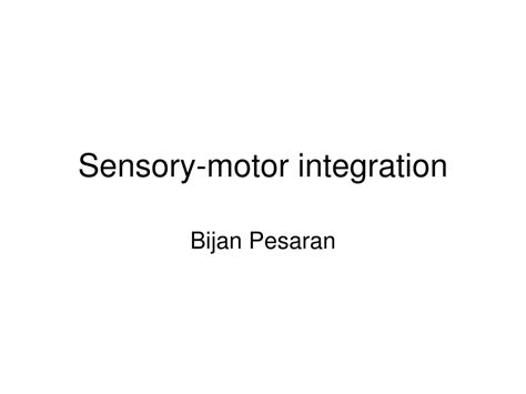 Ppt Sensory Motor Integration For Hand Eye Coordination Powerpoint Presentation Id 9120102