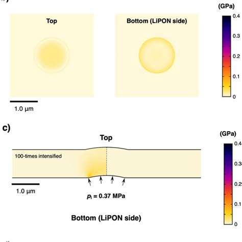 Simulated Von Mises Stress Distributions For Cu Cc Films Deformed Into
