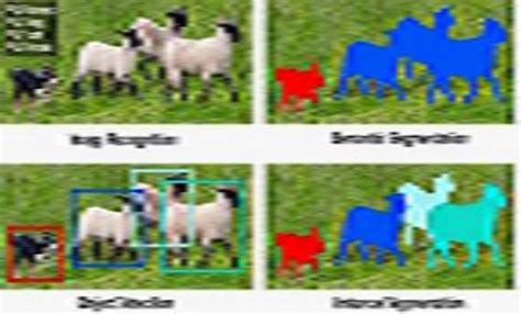 Train Custom Object Detection Models Using Yolo Tensorflow Opencv And Ocr By Sunnydevvy Fiverr