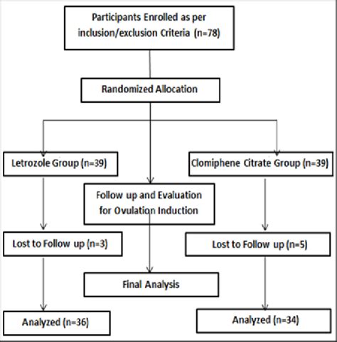 Methodology Flow Chart Download Scientific Diagram