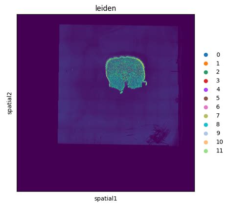Question About Register Image Tif On Adata · Issue 632 · Scversesquidpy · Github