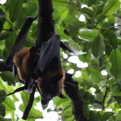 [video] Jennifer Rycenga Posted On Linkedin