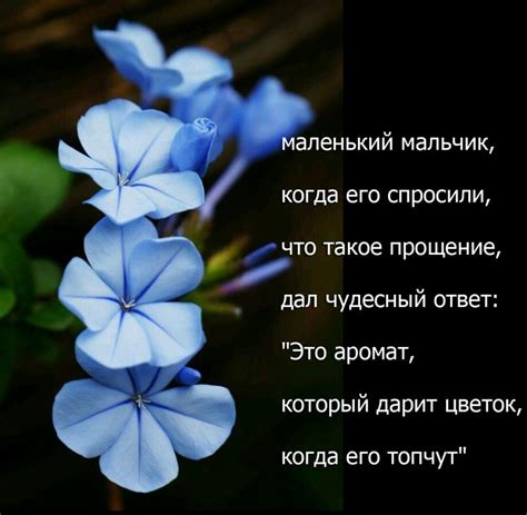 маленький мальчик когда его спросили что такое прощение дал чудесный ответ Это аромат