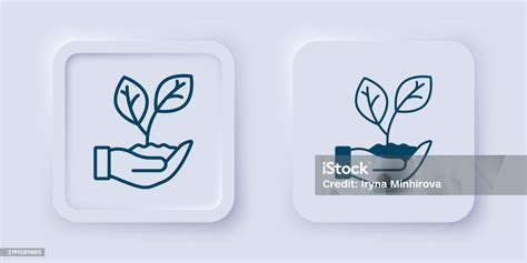 채우고 윤곽선 손은 회색 배경에 고립 된 식물 아이콘의 잎을 잡고 있습니다 자연을 돌보십시오 환경 보호와 함께 잎 싹 사각형 버튼 벡터 Friendly Match에 대한