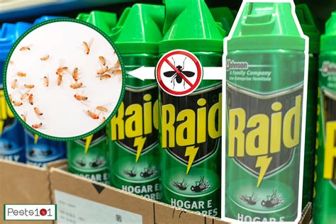 Does Raid Kill Fruit Flies
