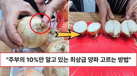 양파 제대로 고르는 방법 헬스테라피