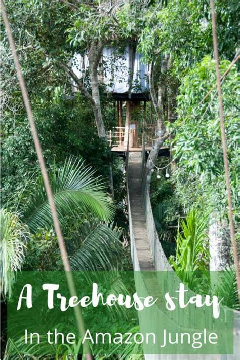 A Treehouse Stay In The Amazon Jungle The Travelbunny