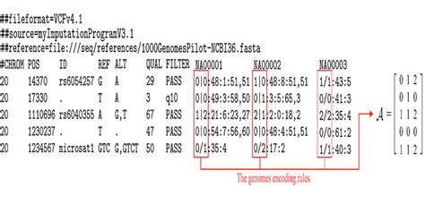 Illustration Of A Representative Capture Of The 1000 Genomes Project