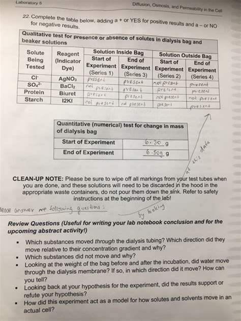 Diffusion And Osmosis Lab