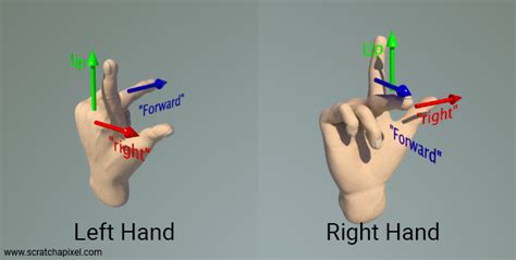 Left Vs Right Handed