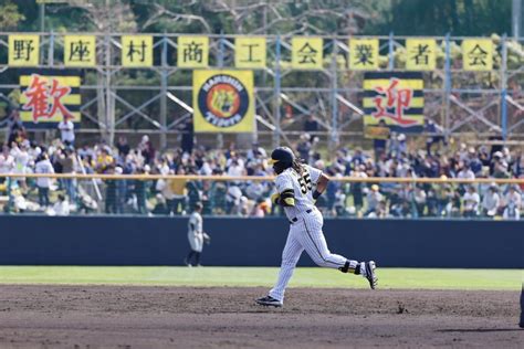 【阪神紅白戦】24年チーム1号はミエセス！2年目の門別啓人と茨木秀俊が先発／詳細 プロ野球ライブ速報写真ニュース 日刊スポーツ