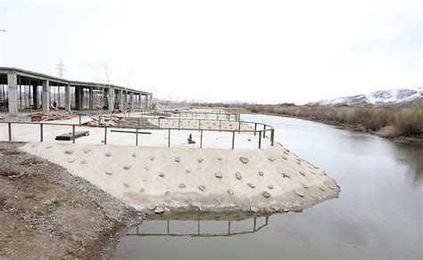 Үндэсний цэцэрлэгт хүрээлэнд Наран шарлагын газар байгуулна