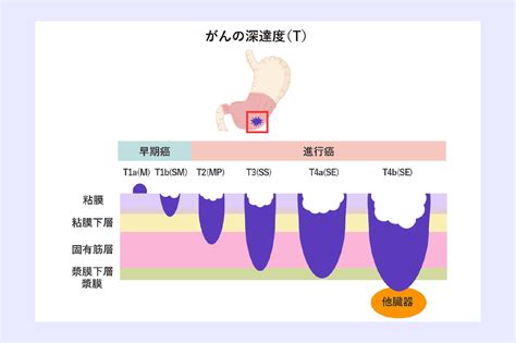 診断法 しんだんほう Japanese English Dictionary Japaneseclassjp
