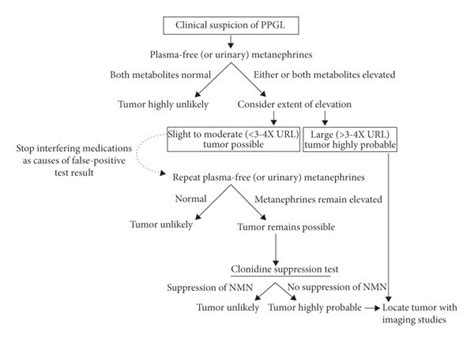 Flow Chart Illustrating The Indications For The Biochemical Screening
